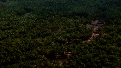 Vietnam Napalm Stock Video Footage | Royalty Free Vietnam Napalm Videos ...