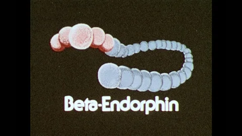 Endorphin Animation Stock Video Footage | Royalty Free Endorphin ...