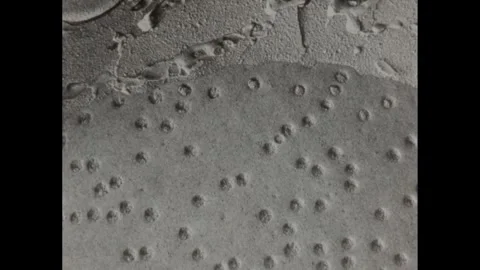 1980s: Electron microscope reveals pores... | Stock Video | Pond5