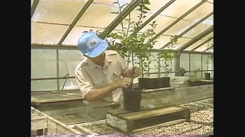 1980s - A scientist explains his procedu... | Stock Video | Pond5