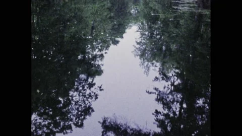 1980s: Travelling through the bayou. Man... | Stock Video | Pond5