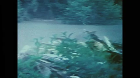 Full Logs Stock Videos – Royalty-Free HD & 4K Videos | Pond5