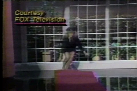 1987 - Spuds Mackenzie, the bull terrier... | Stock Video | Pond5