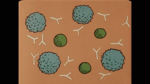 1990s: Animation of cells. Cartoon illus... | Stock Video | Pond5