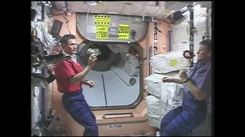 Foot Ball Girls Stock Videos – Royalty-Free HD & 4K Videos | Page 5