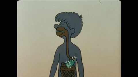 1990s: Cartoon cross section of human bo... | Stock Video | Pond5