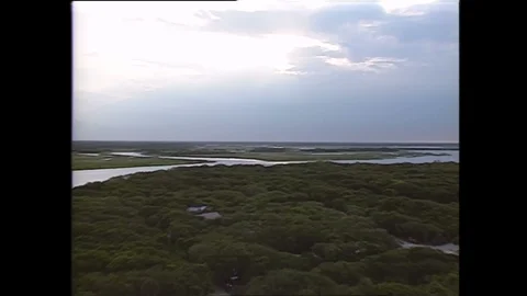 Nbc4 Weather Stock Videos – Royalty-Free HD & 4K Videos