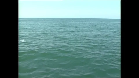 1990s: People play in the ocean. Earth.... | Stock Video | Pond5