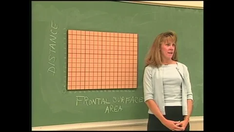 Boys Pin Girls Stock Videos – Royalty-Free HD & 4K Videos | Pond5