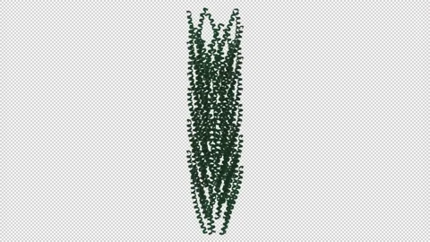 1IFD shell 3D Illustartation Animation L... | Stock Video | Pond5