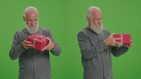 2-in-1 Split Green Screen Montage.Portra... | Stock Video | Pond5