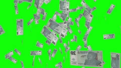 Naira Stock Video Footage | Royalty Free Naira Videos | Pond5