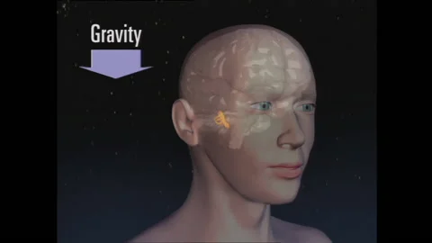 2000s: Computer animation of gravity eff... | Stock Video | Pond5