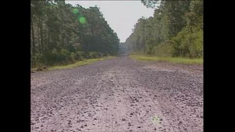 2000s: Long dirt road in forest. Constru... | Stock Video | Pond5