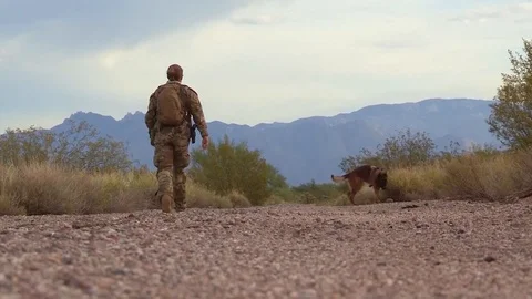 Animal Border Patrol Stock Videos – Royalty-Free HD & 4K Videos | Pond5