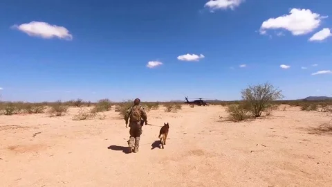 Animal Border Patrol Stock Videos – Royalty-Free HD & 4K Videos | Pond5