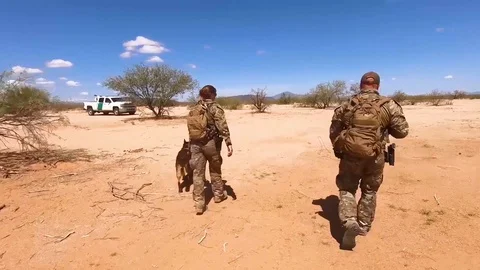 Animal Border Patrol Stock Videos – Royalty-Free HD & 4K Videos | Pond5