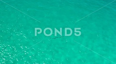 2020:LOS CABOS MEXICO.Static Blue Water Creating Soft Ripples And Some ...