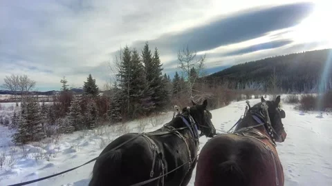 Horse Ride Sleigh Stock Videos – Royalty-Free HD & 4K Videos | Page 2