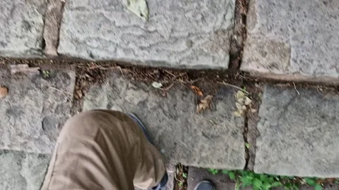 Brush Climbing Stock Videos – Royalty-Free HD & 4K Videos | Pond5