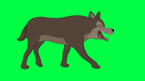 2D animated cycle wild wolf character is... | Stock Video | Pond5