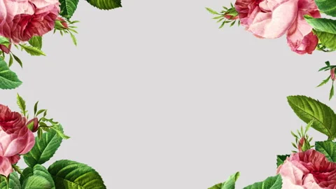 Birthday Frame Animated Stock Videos – Royalty-Free HD & 4K Videos | Pond5