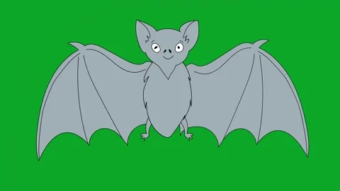 2D Animated Flying Bat Green Screen Loop... | Stock Video | Pond5