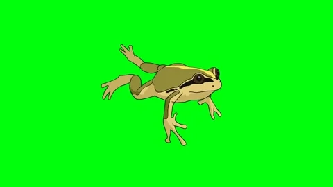 2D animated frog character cycle swimmin... | Stock Video | Pond5