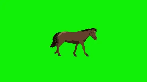 2d animated horse walking frame by frame... | Stock Video | Pond5