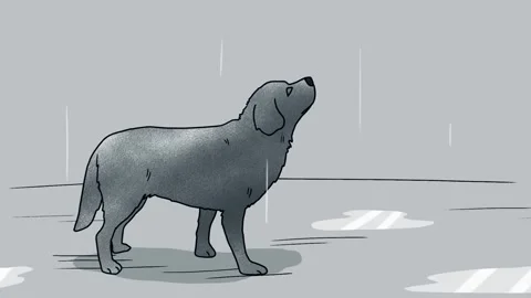 Sad Dog Cartoon Stock Footage ~ Royalty Free Stock Videos | Pond5