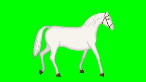 2D animated white horse walking, tail & ... | Stock Video | Pond5
