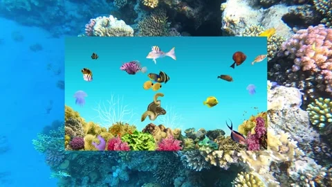 2D animation about underwater paradise b... | Stock Video | Pond5