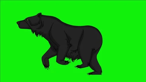 2D Animation of a Black Bear Walking on ... | Stock Video | Pond5
