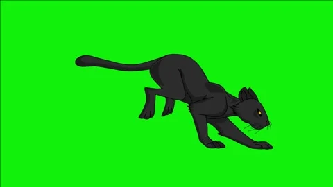 2D Animation of a black cat running acro... | Stock Video | Pond5