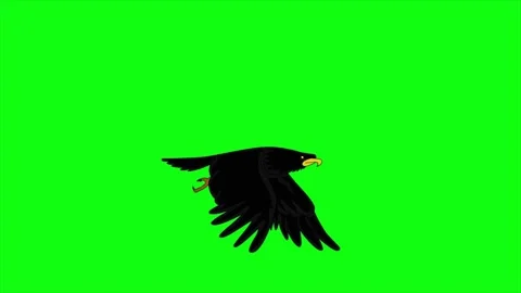 2d Animation Of A Black Eagle Flying Acr... | Stock Video | Pond5