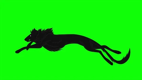 Furry 2D Animation Stock Videos – Royalty-Free HD & 4K Videos | Pond5
