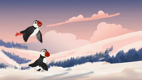 2D animation - Cartoon Puffin - dialog | Stock Video | Pond5