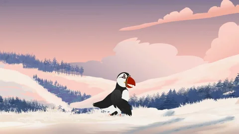 2D ANIMATION - Cartoon Puffin - walk an... | Stock Video | Pond5