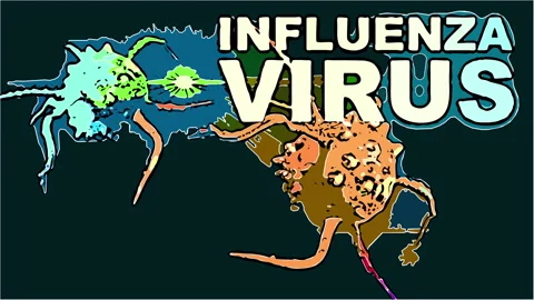 2d animation in comic style - Illustrati... | Stock Video | Pond5