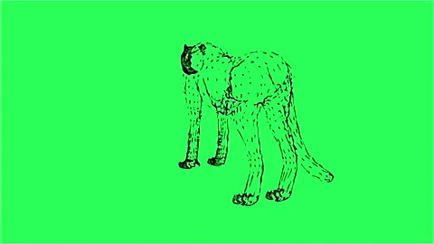 2d animation in comic style - rotation ... | Stock Video | Pond5