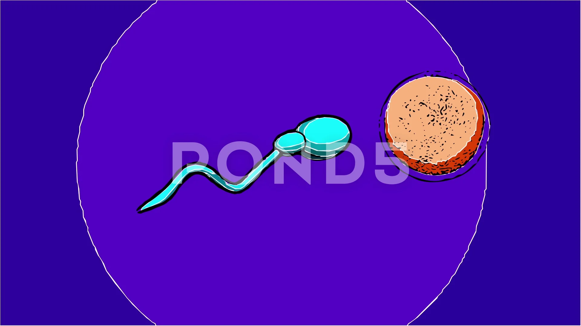 Sperm Cell Animation