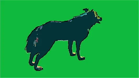 2d animation in comic style - wolf walk | Stock Video | Pond5