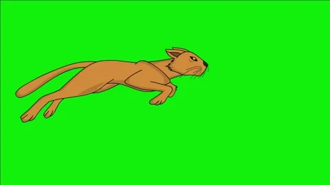 2D Animation of a cream cat running acro... | Stock Video | Pond5