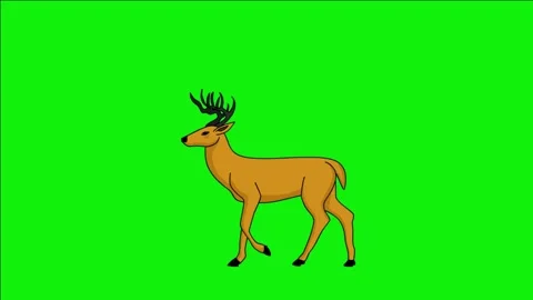2d Animation Of A Cream Deer Walking On ... | Stock Video | Pond5