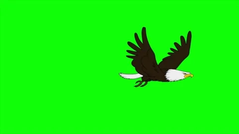 Pbrown Editing Stock Footage ~ Royalty Free Stock Videos | Pond5