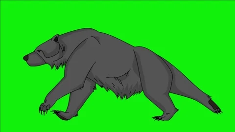 2d Animation of a Dark Grey Bear Running... | Stock Video | Pond5