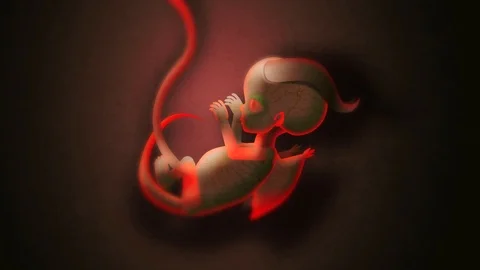 2D animation demon fetus. | Stock Video | Pond5