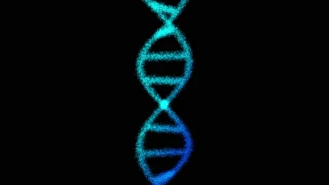 2D animation of DNA on a black backgroun... | Stock Video | Pond5