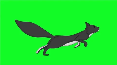 Running Squirrel Animation Stock Footage ~ Royalty Free Stock Videos | Pond5