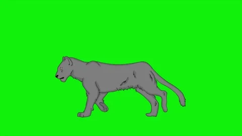 2d Animation A Gray Tiger Is Walking On ... | Stock Video | Pond5